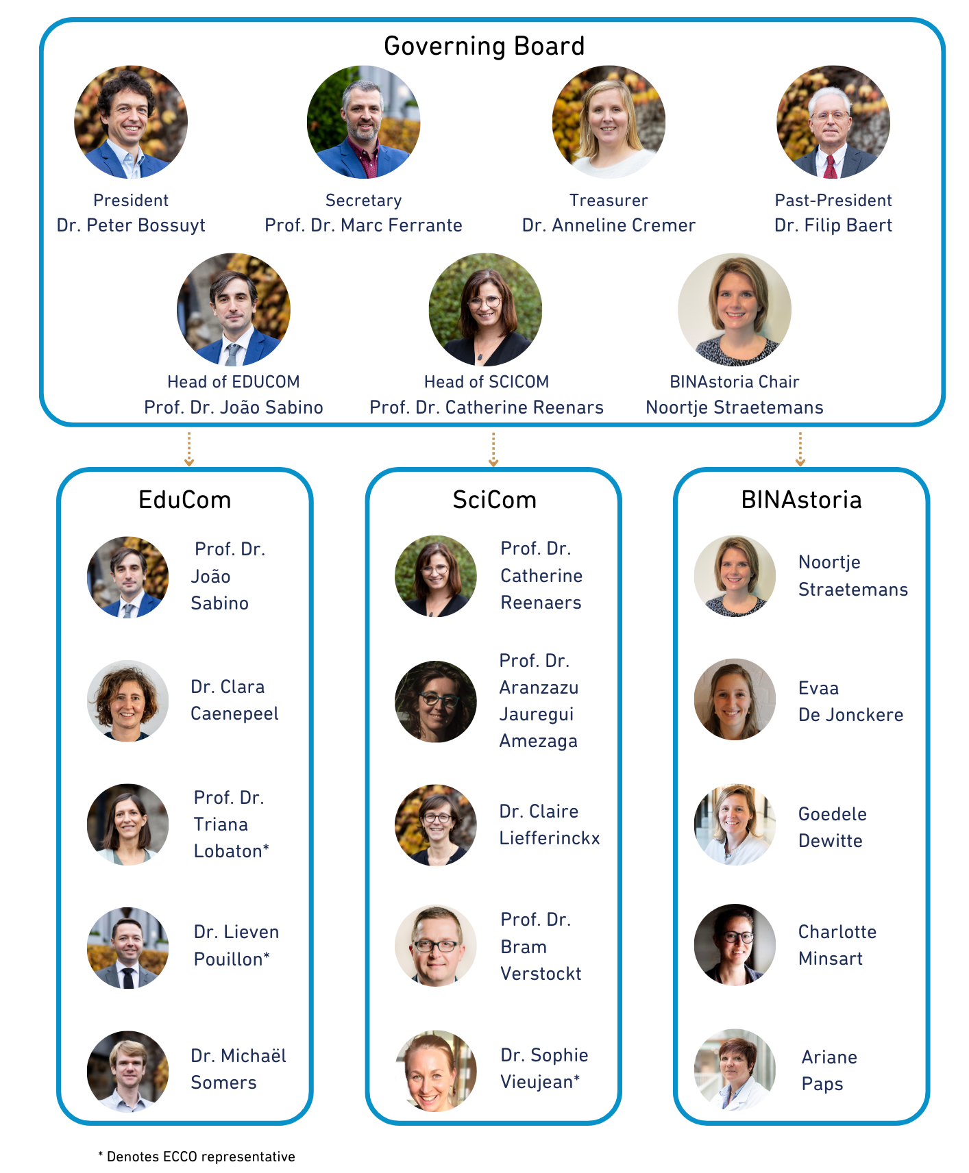 Organizational diagram